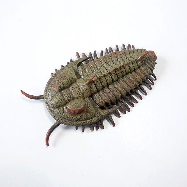 Redlichia Rex | SW10128